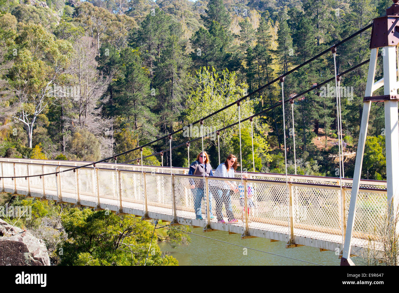 people walking over alexandra suspension bridge at cataract gorge ...