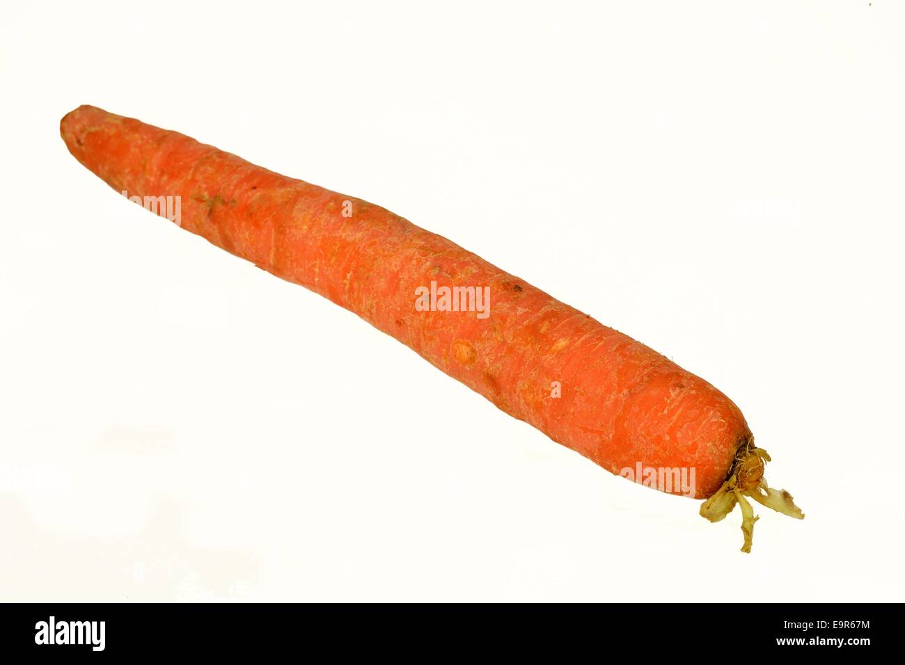 Closeup of one carrot on a white background Stock Photo - Alamy