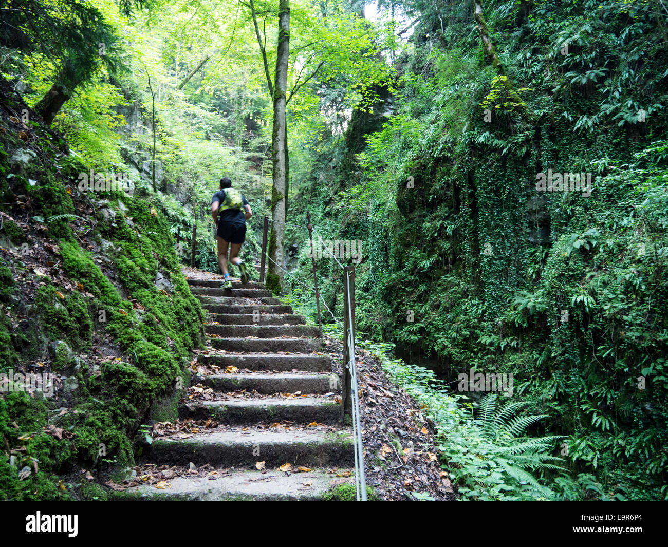A man running up steps in a forest Stock Photo - Alamy
