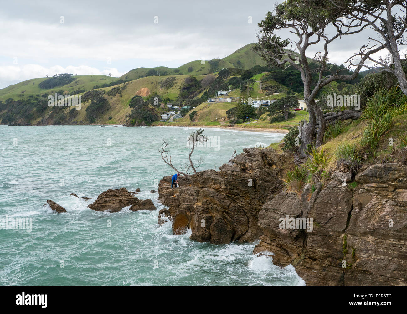 Coromandel peninsular new zealand hi-res stock photography and images ...
