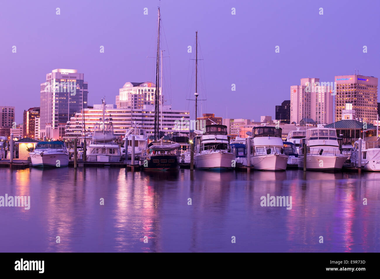 DOWNTOWN SKYLINE ELIZABETH RIVER NORFOLK VIRGINIA USA Stock Photo - Alamy