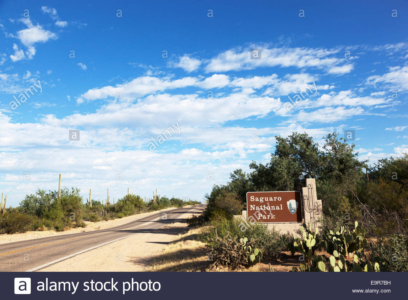 Saguaro Sign High Resolution Stock Photography and Images - Alamy