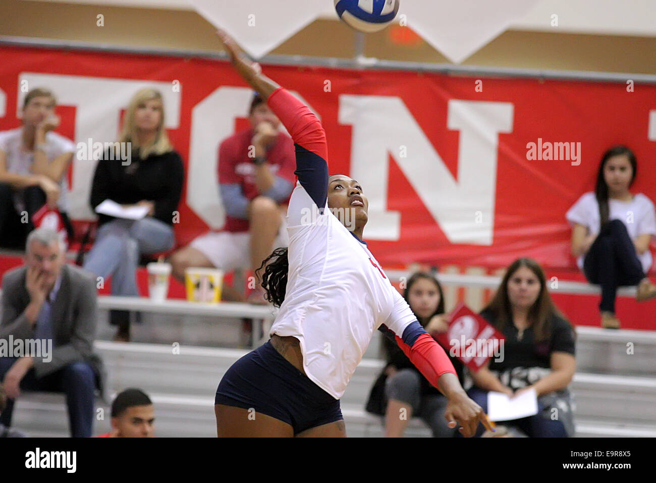 Houston, TX, USA. 31st Oct, 2014. Houston right side hitter Cortney ...