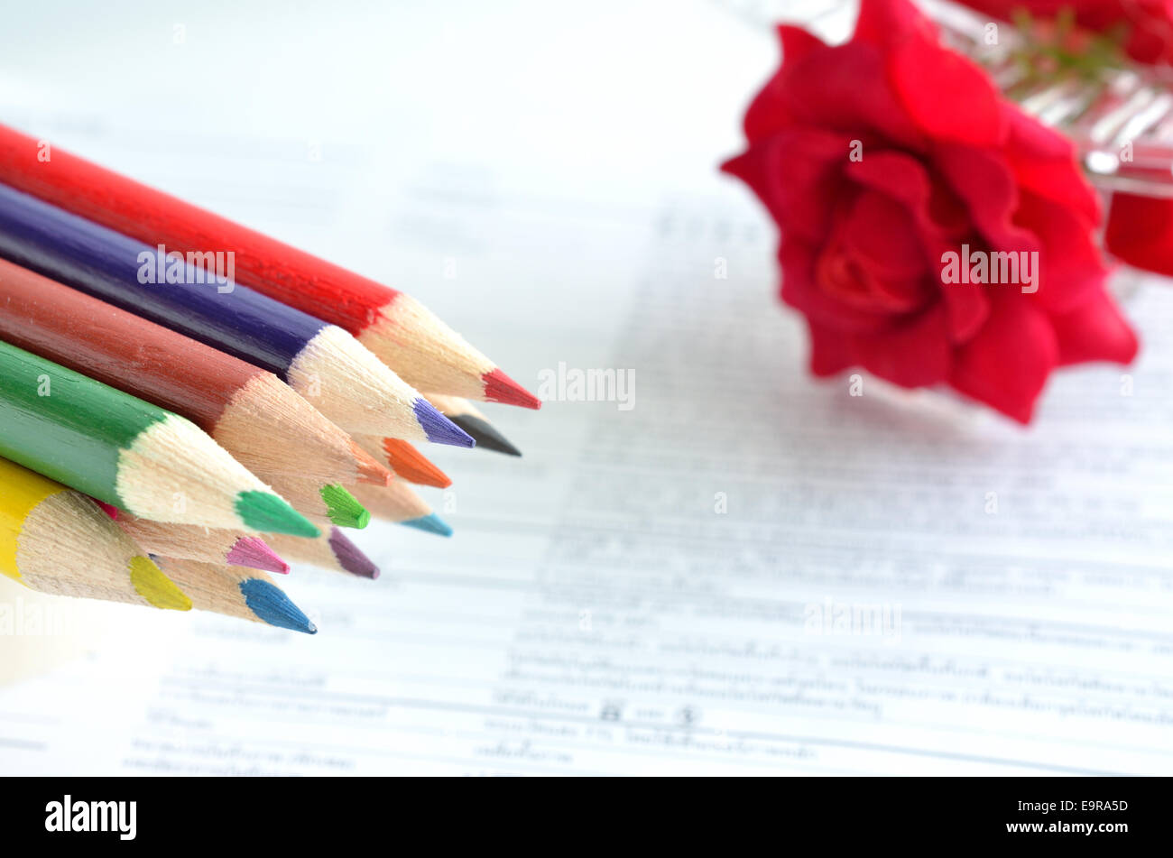 White rose primary school hi-res stock photography and images - Alamy
