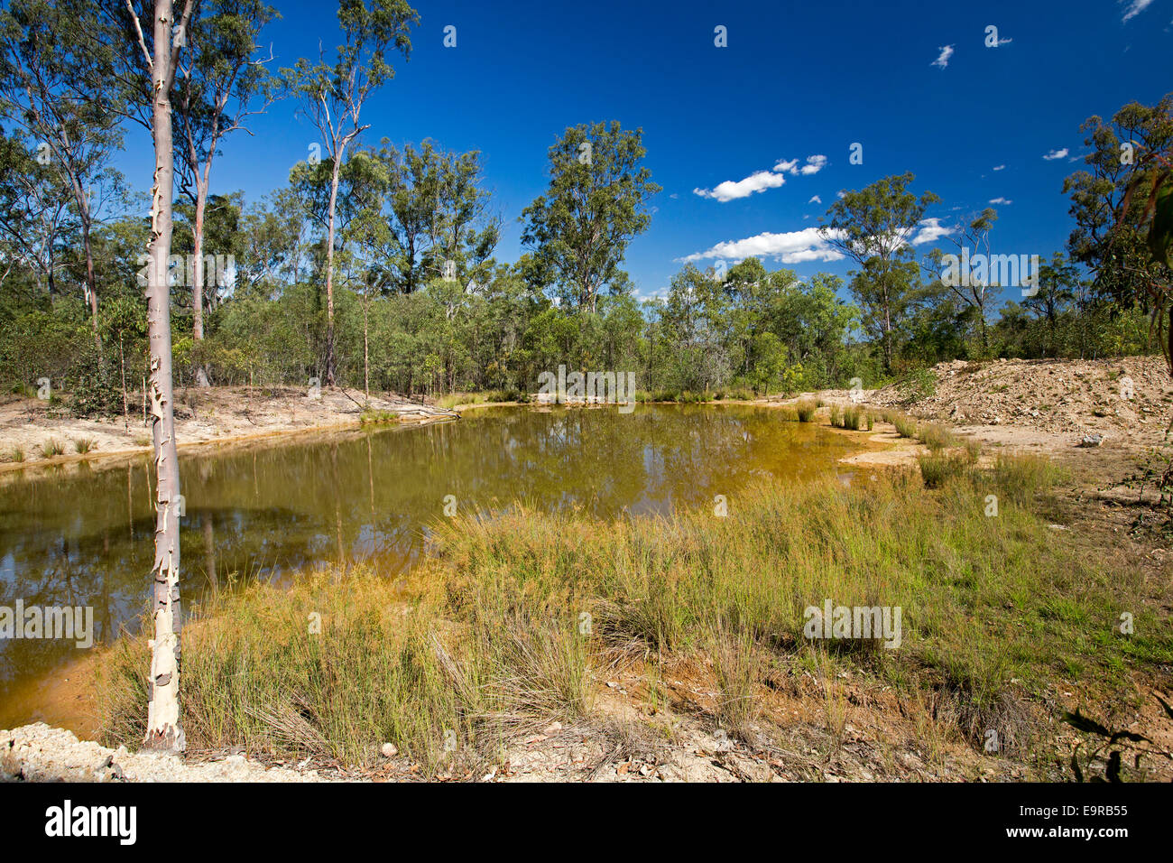 Australian tall grass hi-res stock photography and images - Alamy