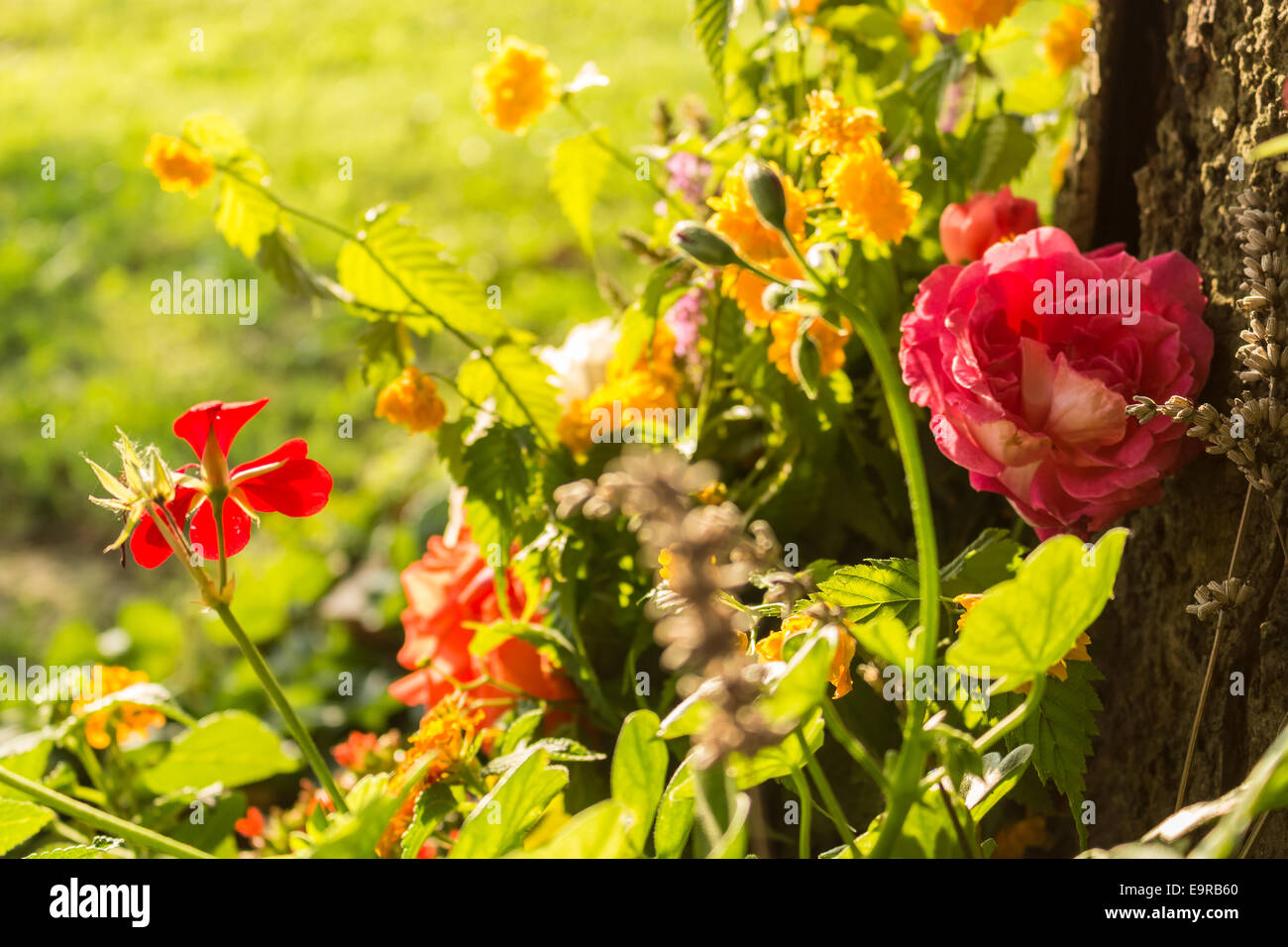 Plastic and real votive flowers under a tree supporting a votive ...