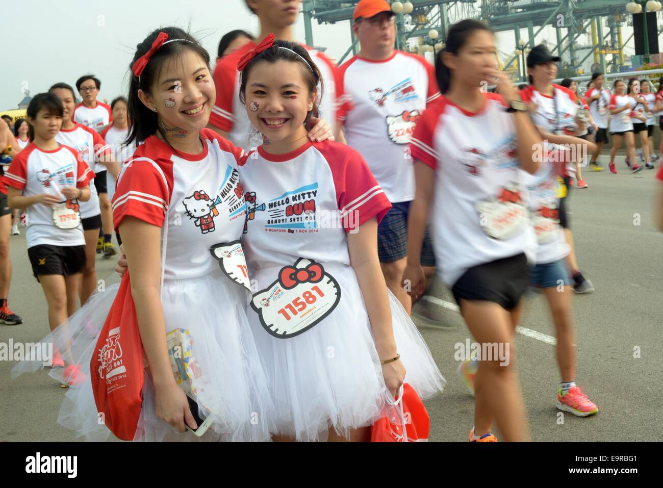 Singapore. 1st Nov, 2014. Two Hello Kitty fans pose for photograph when ...