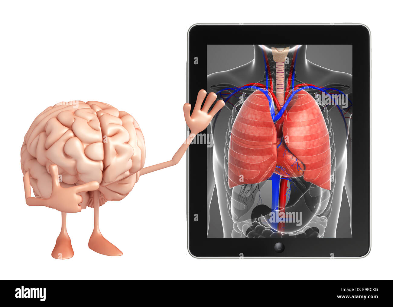 Cartoon character of brain with lungs anatomy Stock Photo - Alamy