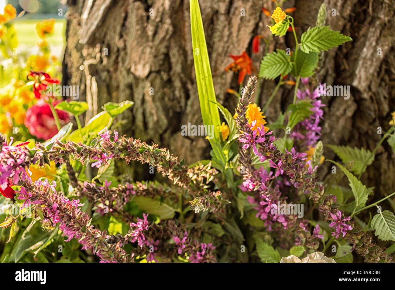 Plastic and real votive flowers under a tree supporting a votive ...