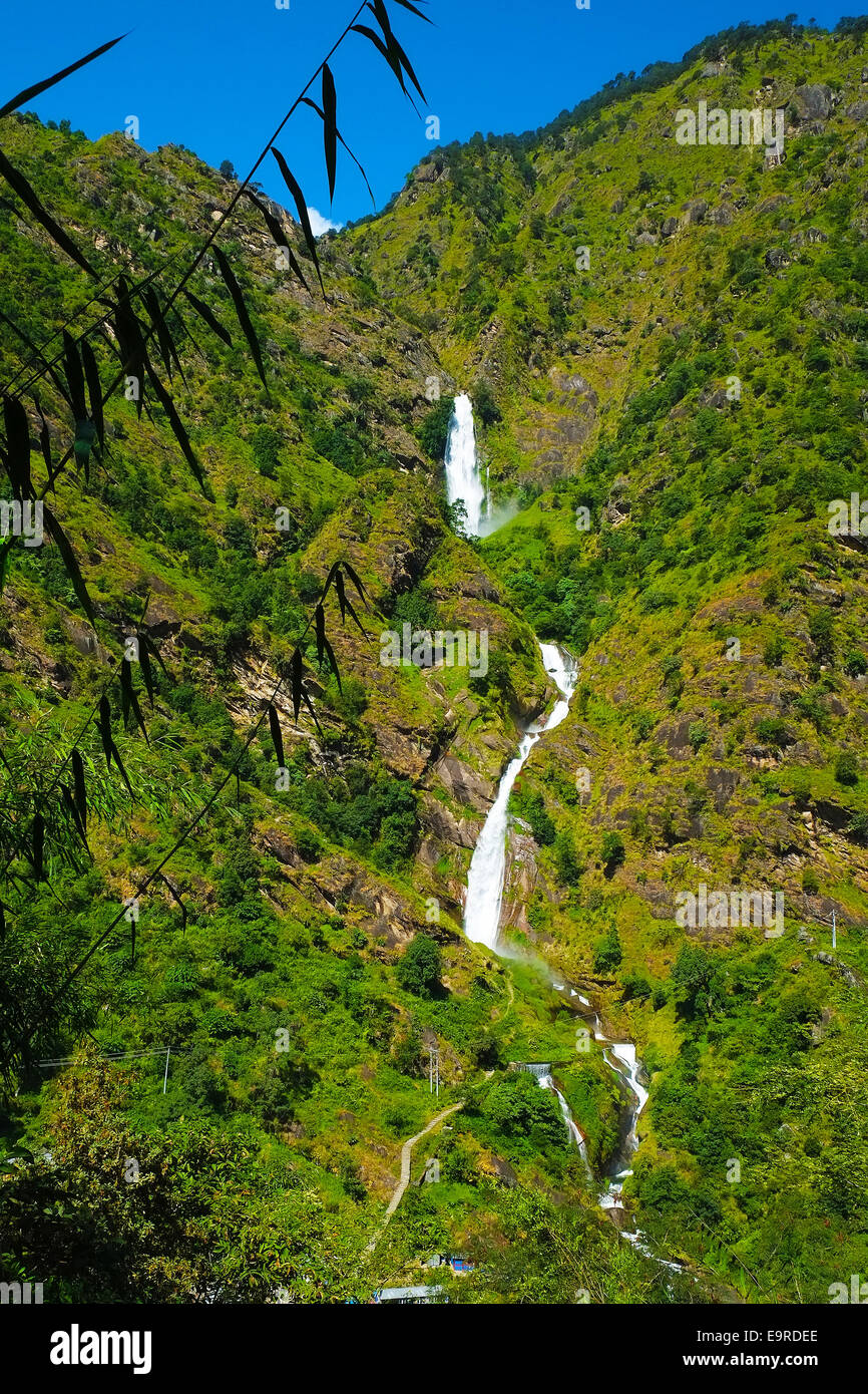 Chamje hi-res stock photography and images - Alamy