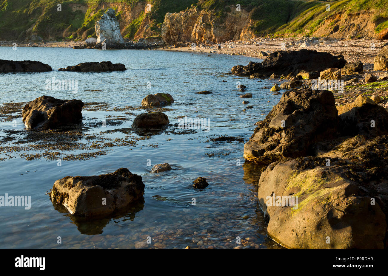 Porth padrig beach wales hi-res stock photography and images - Alamy