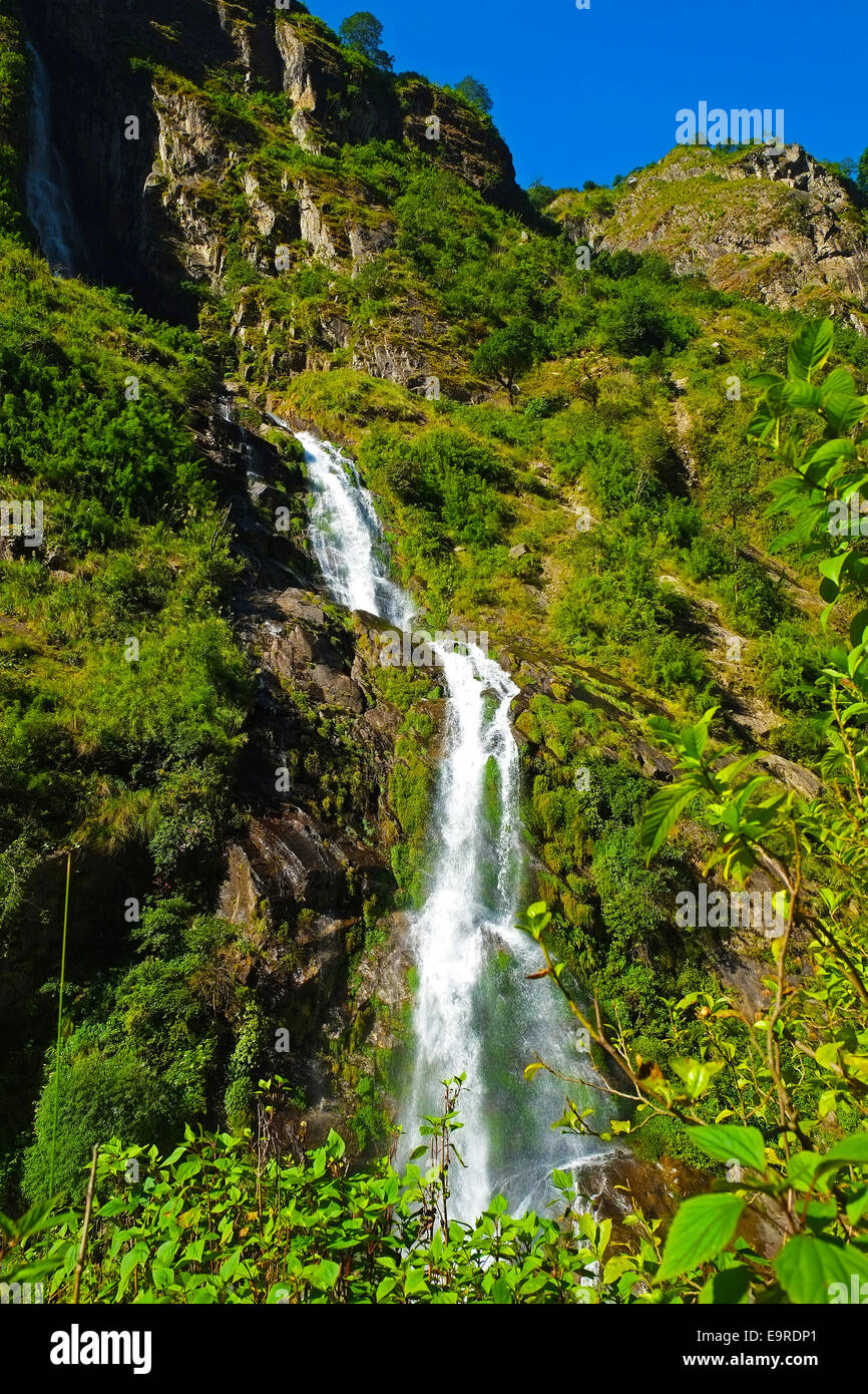 Chamje hi-res stock photography and images - Alamy