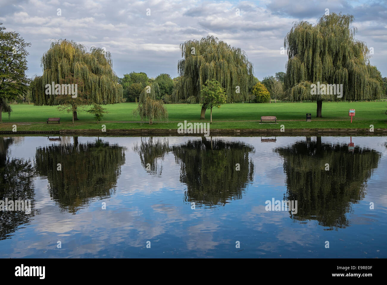 Willow tree river bank hi-res stock photography and images - Alamy