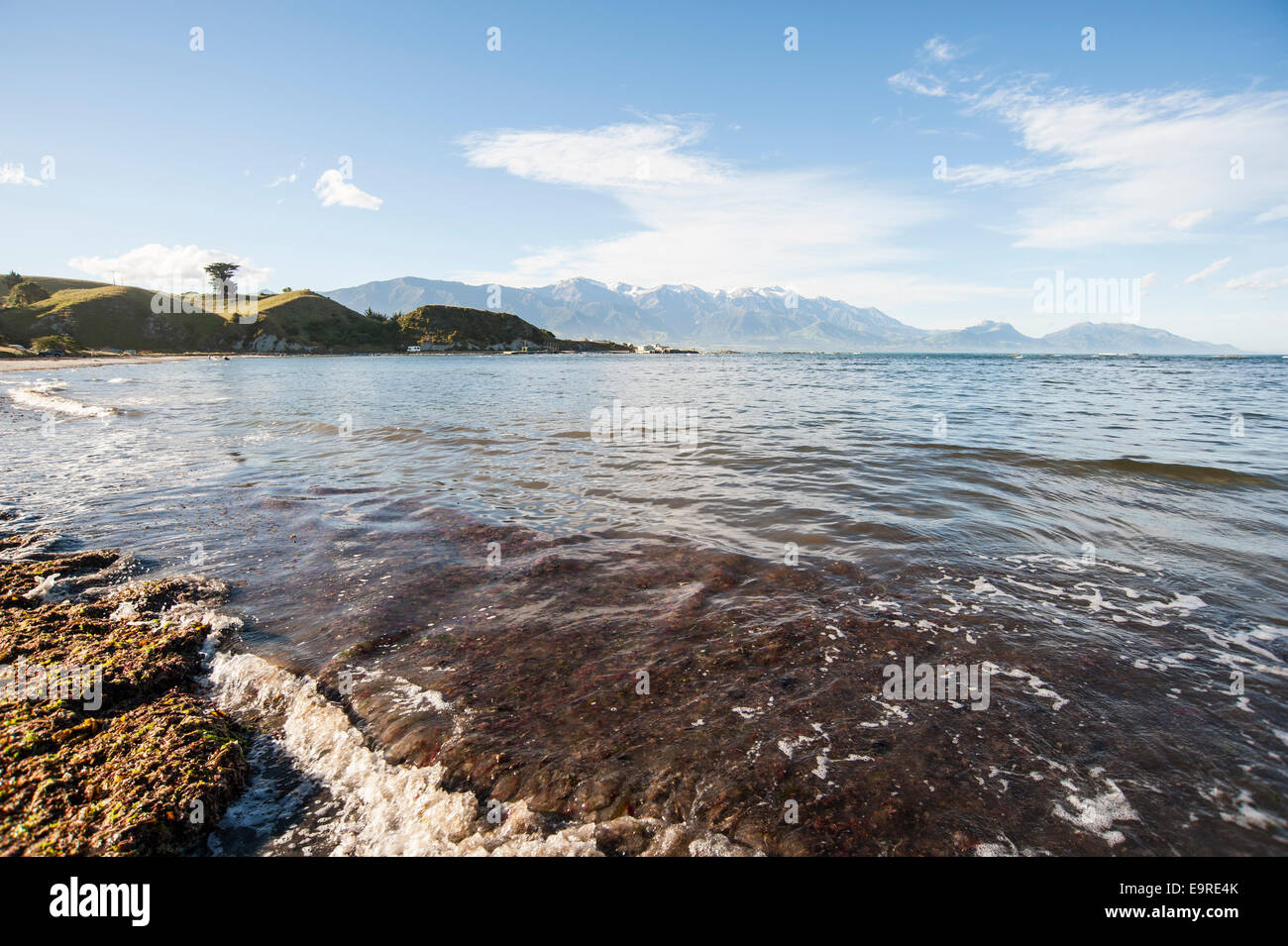 Pebbles on beach new zealand hi-res stock photography and images - Alamy