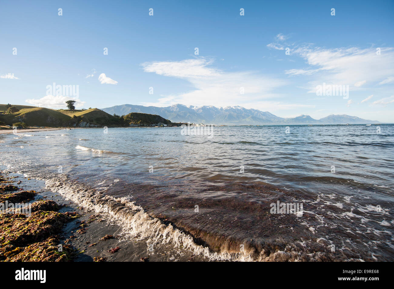 Pebbles on beach new zealand hi-res stock photography and images - Alamy