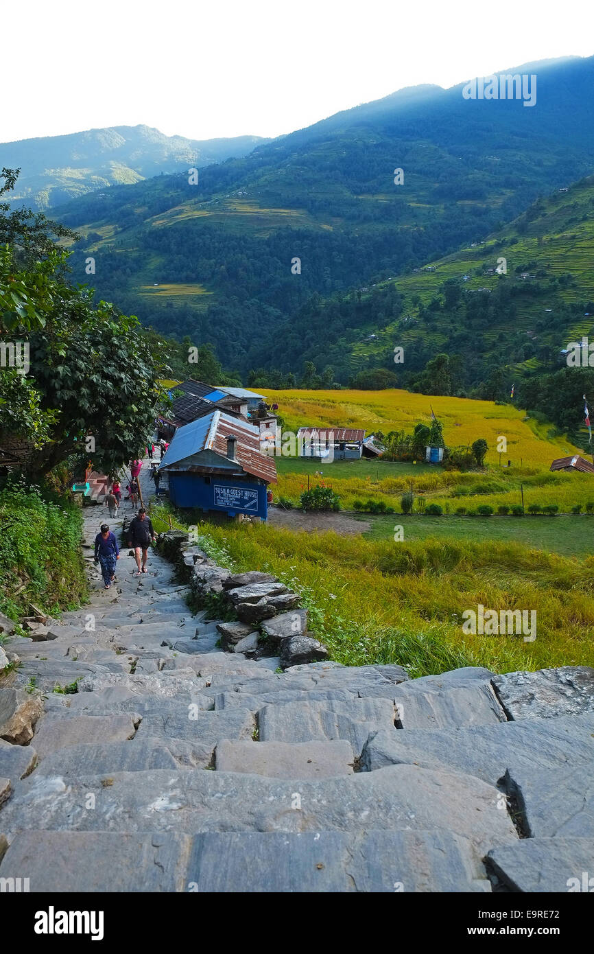 Ulleri hi-res stock photography and images - Alamy