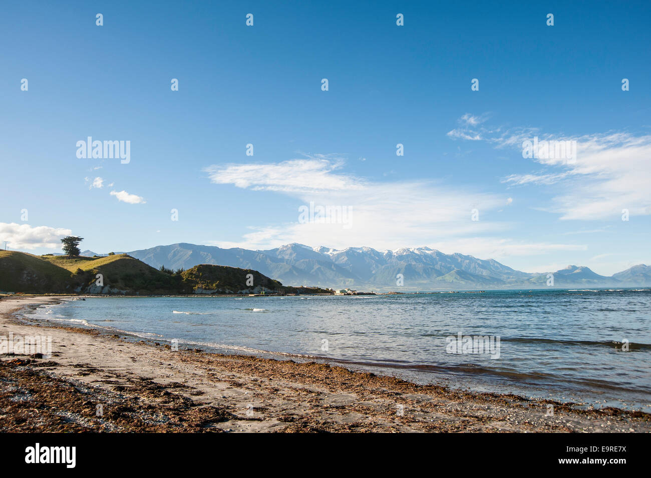 Pebbles on beach new zealand hi-res stock photography and images - Alamy