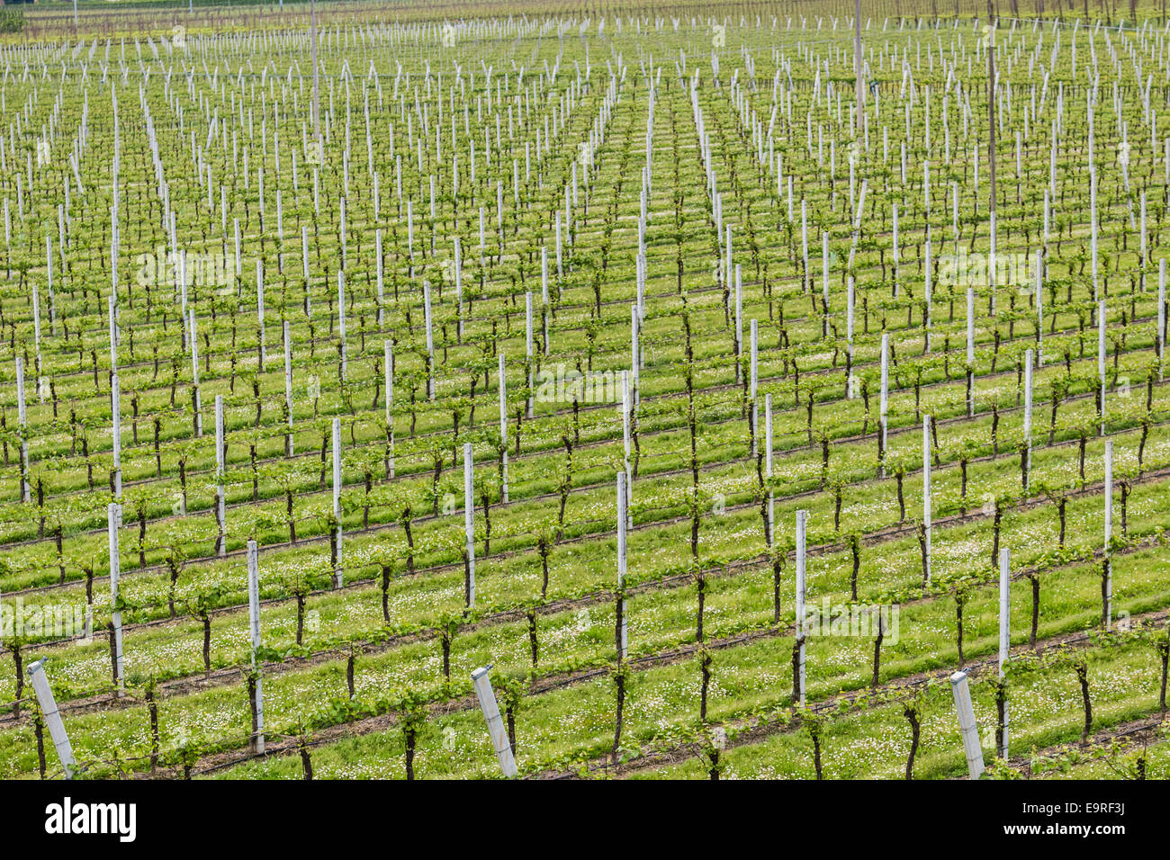 White poles hi-res stock photography and images - Alamy