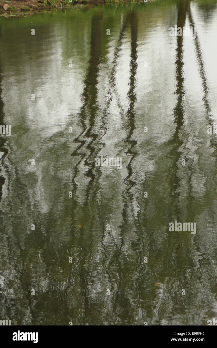 Reflection of ghostly trees in a lake Stock Photo - Alamy