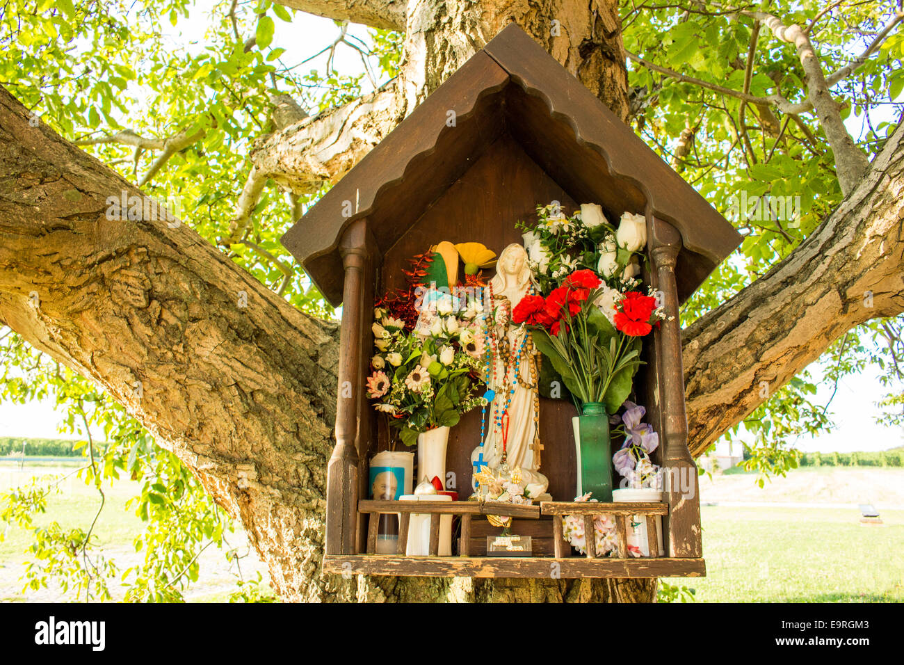 Votive aedicula devoted to the Blessed Virgin Mary on a tree near the ...