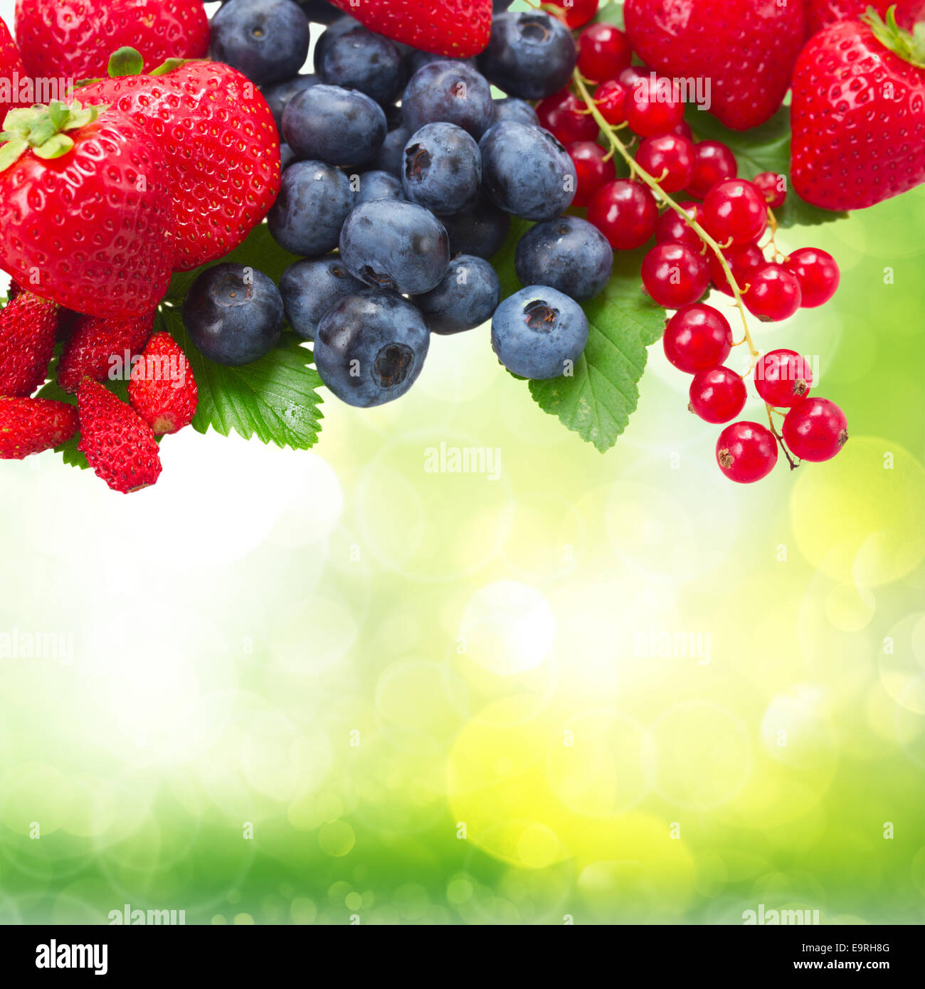 border of fresh berries Stock Photo - Alamy