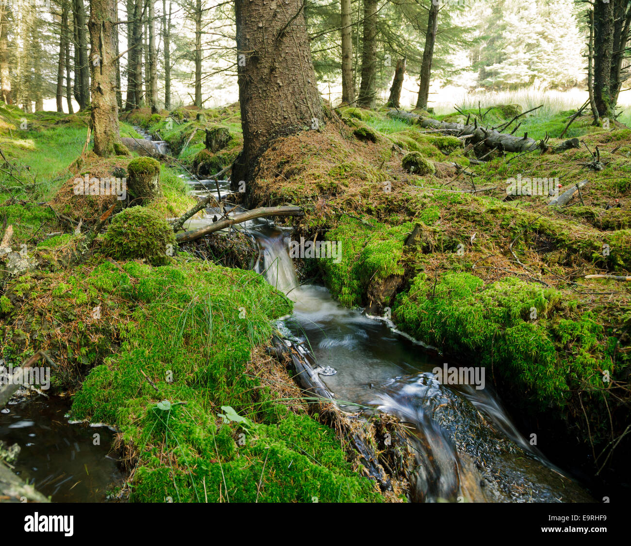 Streamage hi-res stock photography and images - Alamy