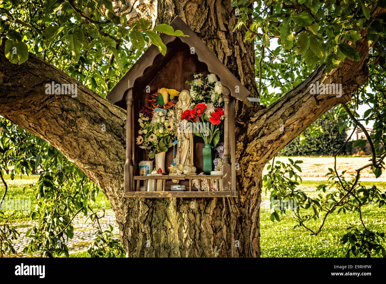 Votive aedicula devoted to the Blessed Virgin Mary on a tree near the ...