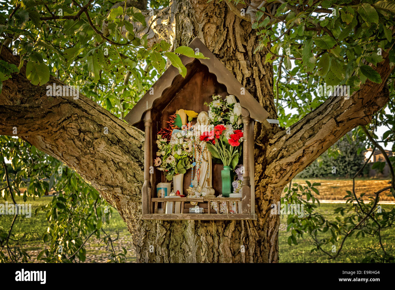 Votive aedicula devoted to the Blessed Virgin Mary on a tree near the ...