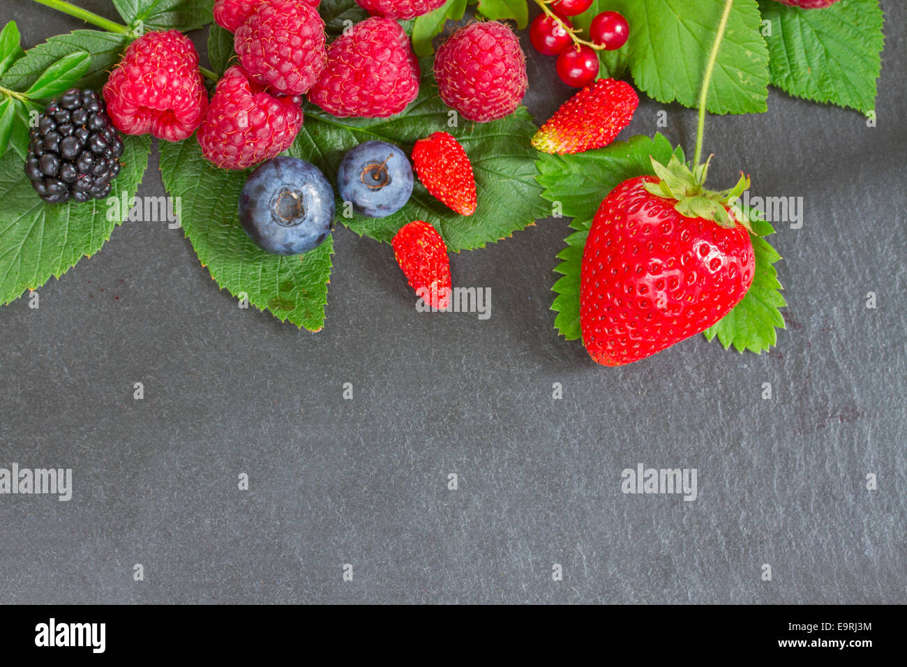 border of fresh berries Stock Photo - Alamy