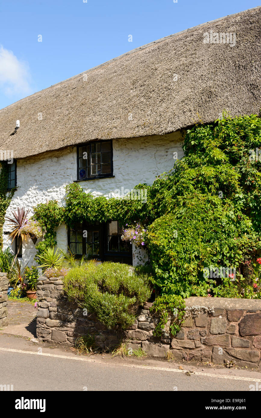view of medieval cottage built with stone and straw roof with green ...