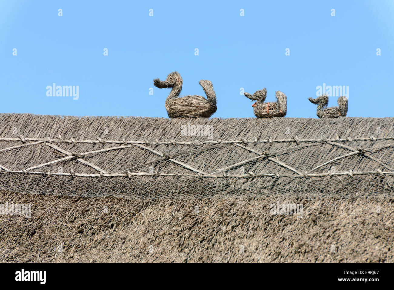 straw ducks on straw roof at Porlock, detail of straw roof in historic ...
