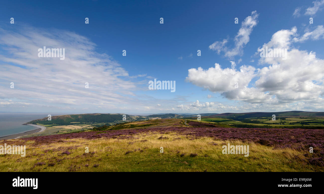 Exmoor panorama, landscape with moor vegetation, in background the ...
