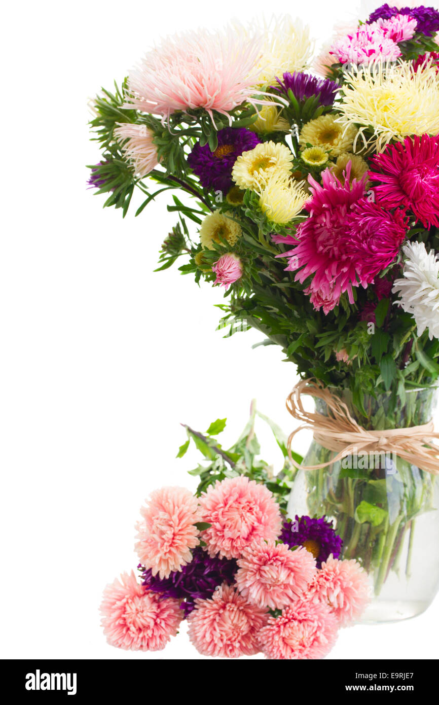 mix of aster flowers Stock Photo - Alamy