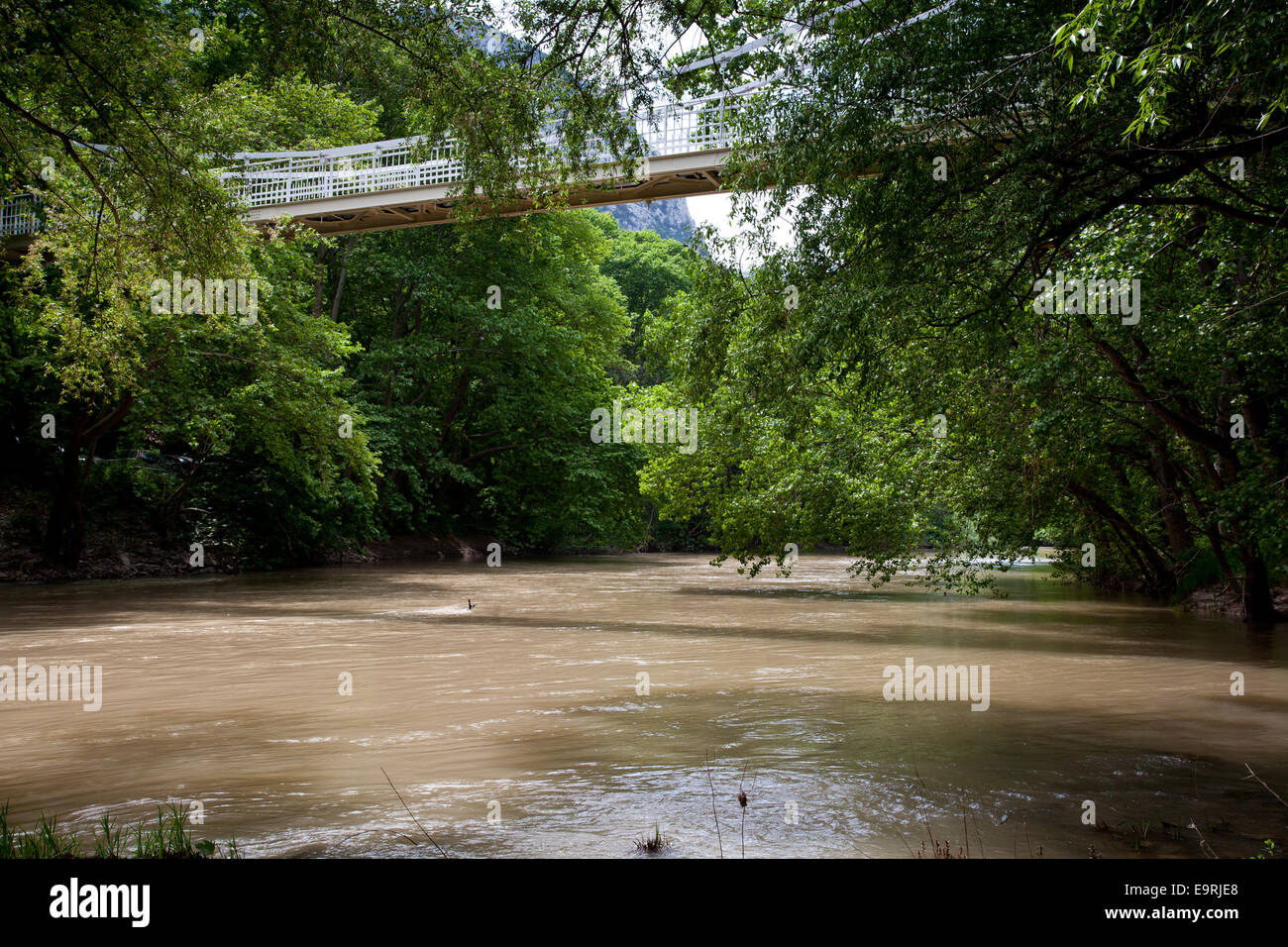 Tembi tempi gorge tree hi-res stock photography and images - Alamy