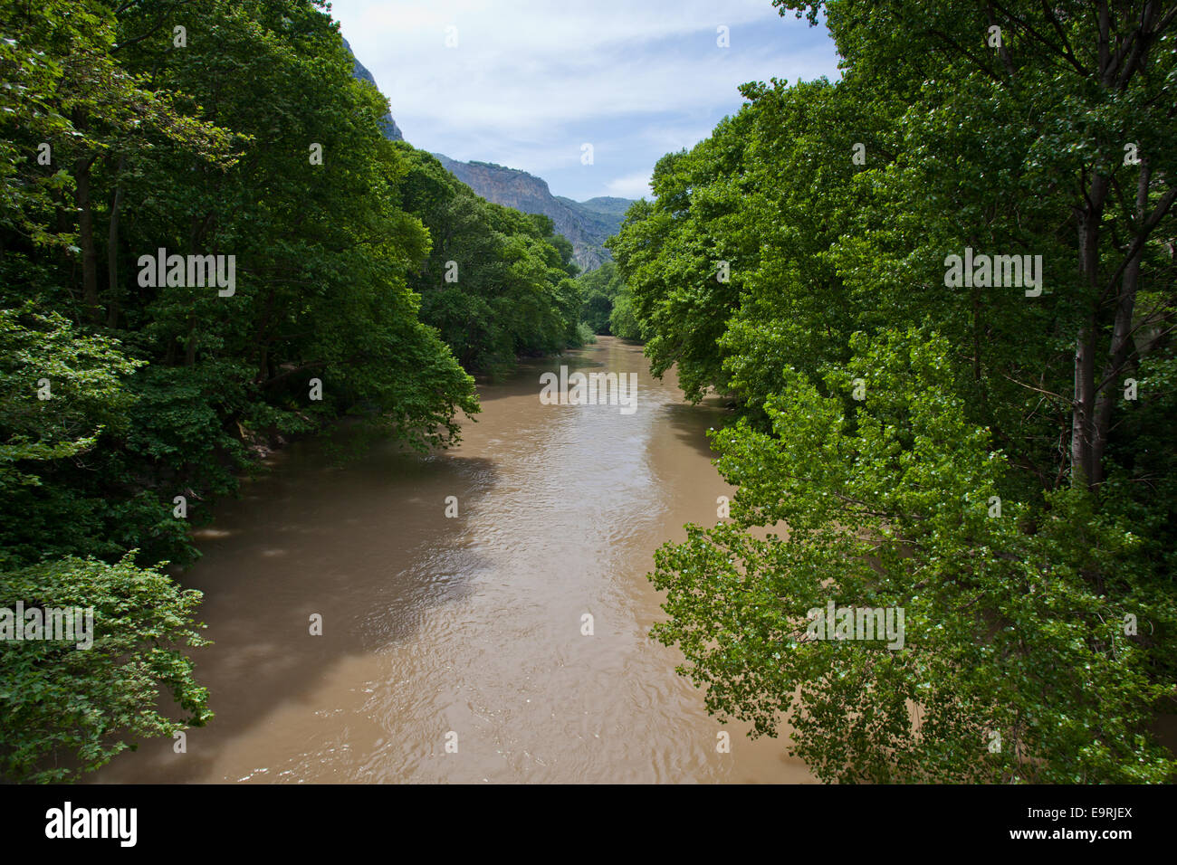 Trees at riverside region of Thessaly, Greece Stock Photo - Alamy
