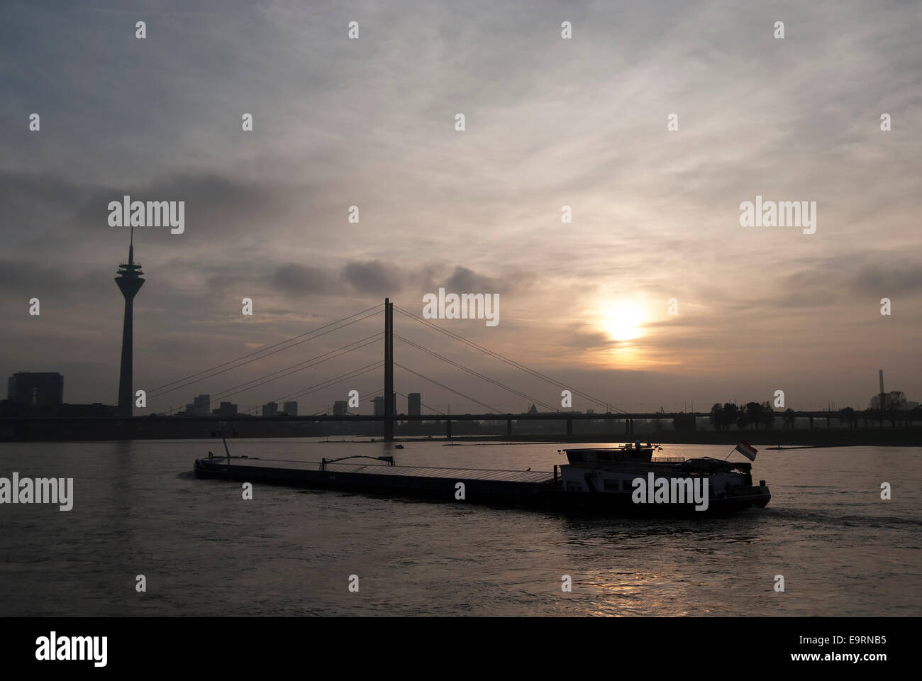 sunset view across the river rhine, with the rhine tower, or rheinturm ...