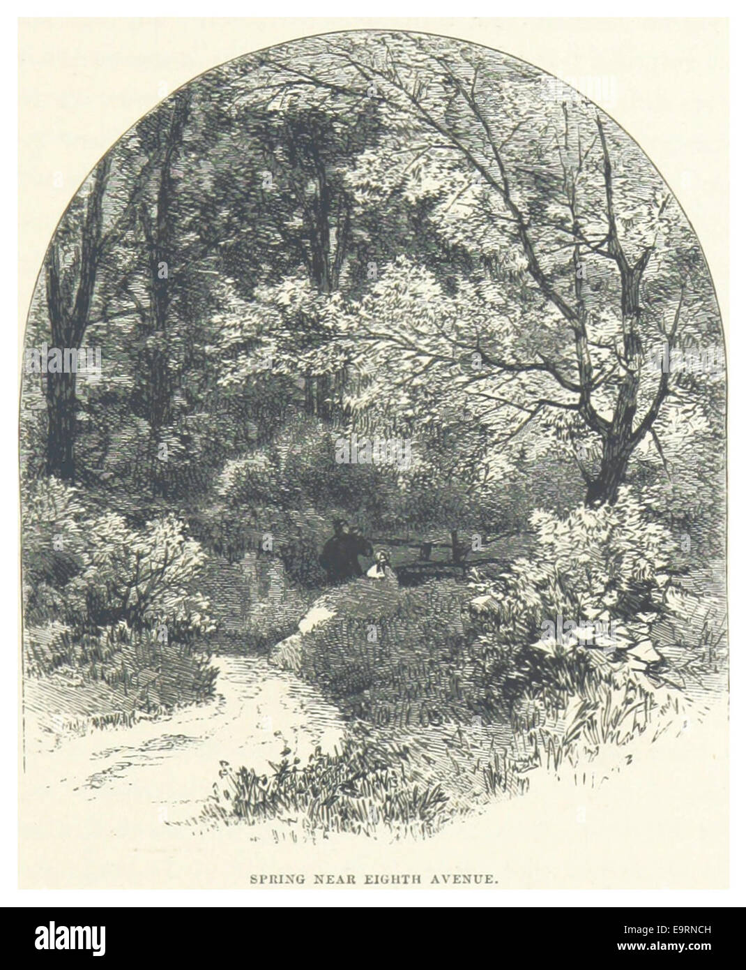 An 1869 illustration showing a spring near Eighth Avenue in Central ...