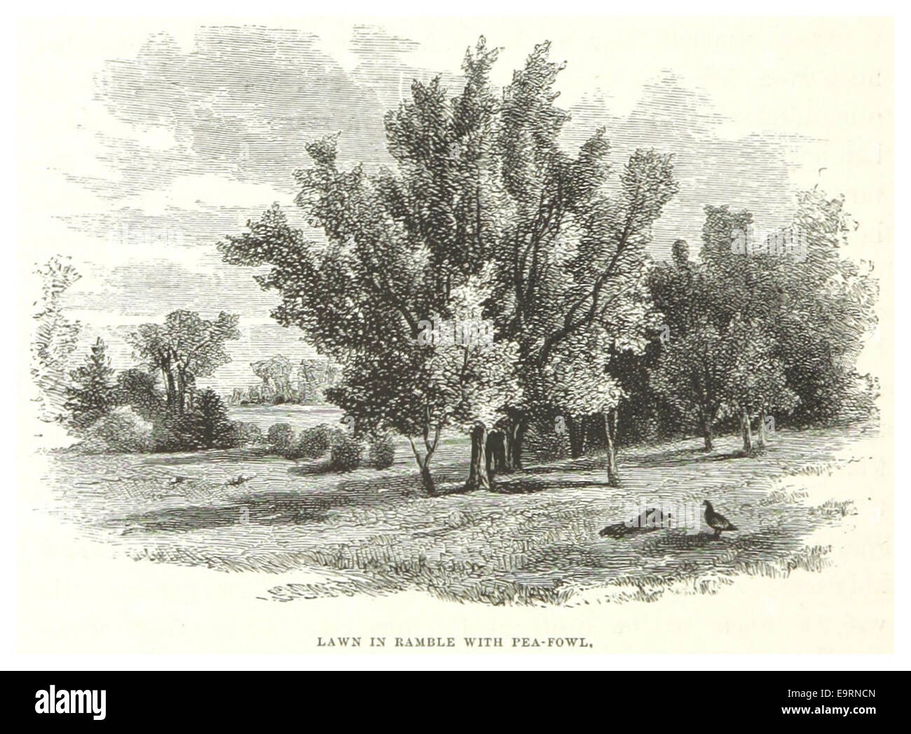 An illustration from the 1869 publication about Central Park in New ...