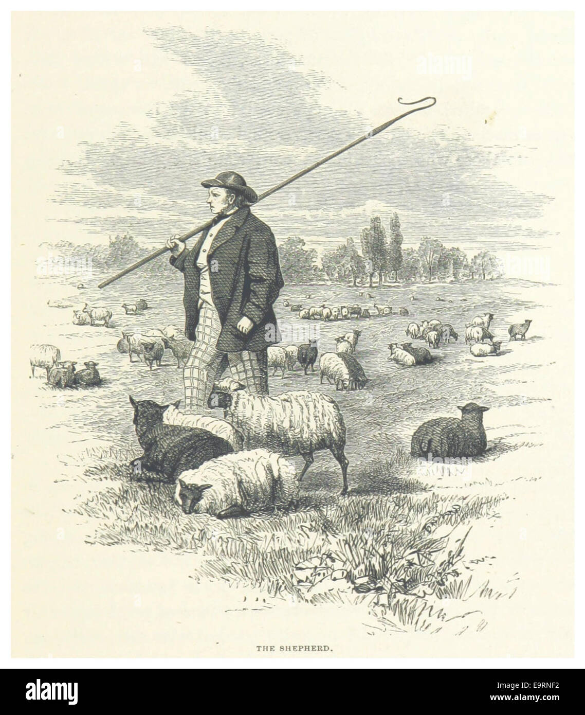 Old shepherd vintage hi-res stock photography and images - Alamy