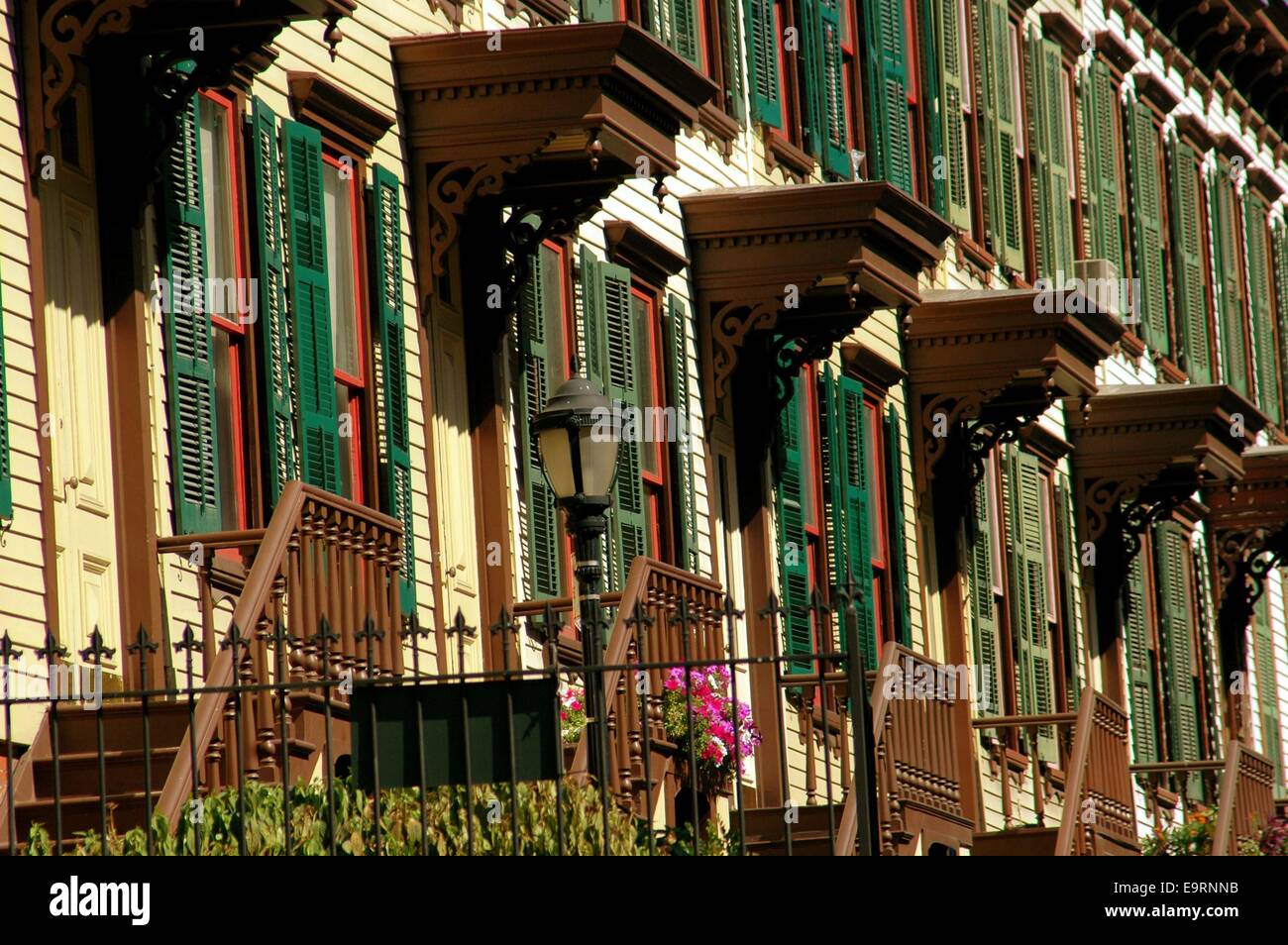 NYC: Doorways, porticos, and stairways with distinctive green window ...
