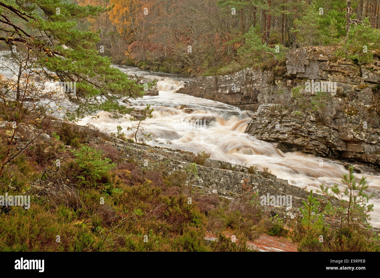 River Blackwater in Spate after heavy Autumn rains Stock Photo - Alamy
