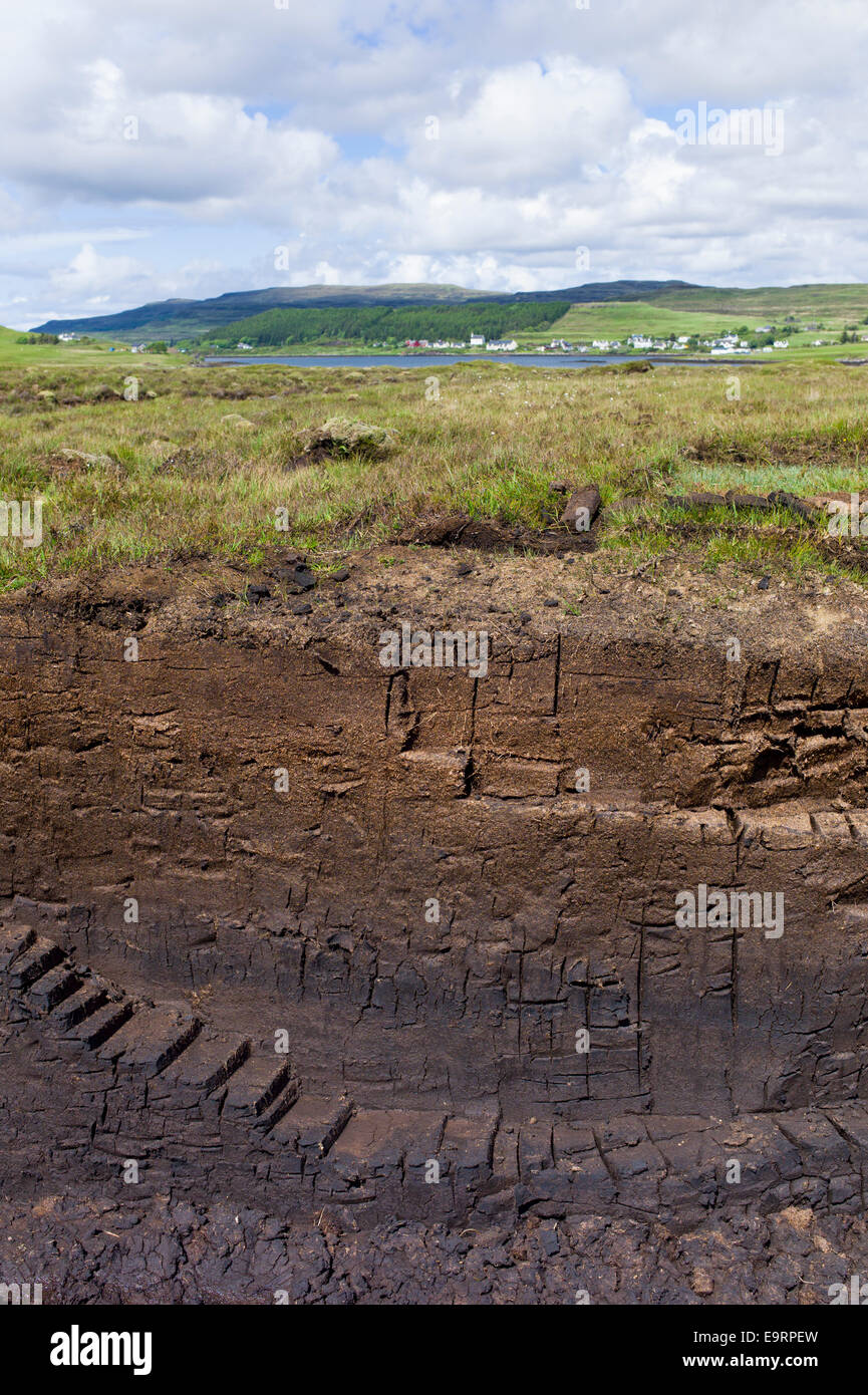Turves cut from traditional turf peat bog for fuel have environmental ...