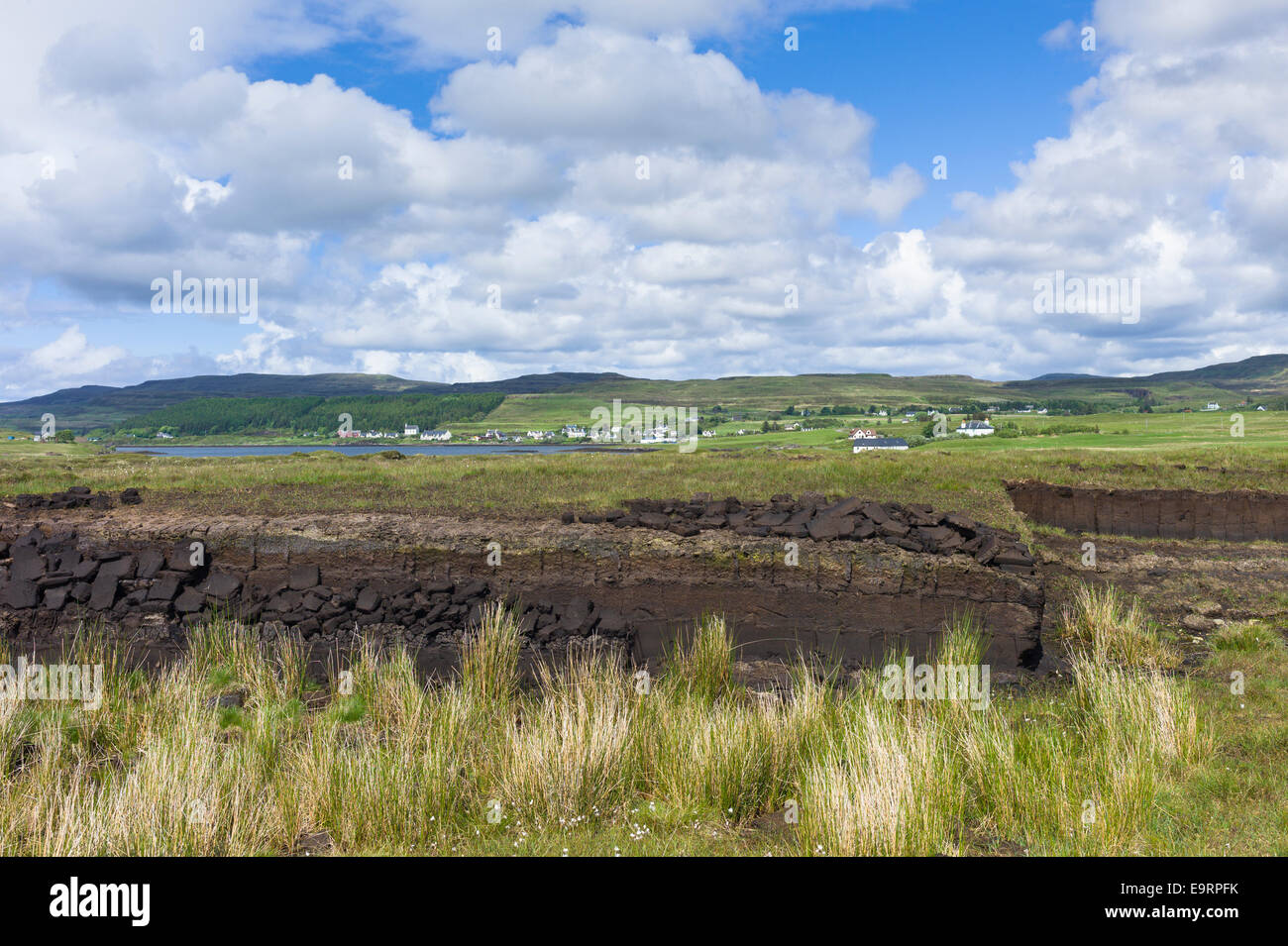 Turves cut from traditional turf peat bog for fuel have environmental ...