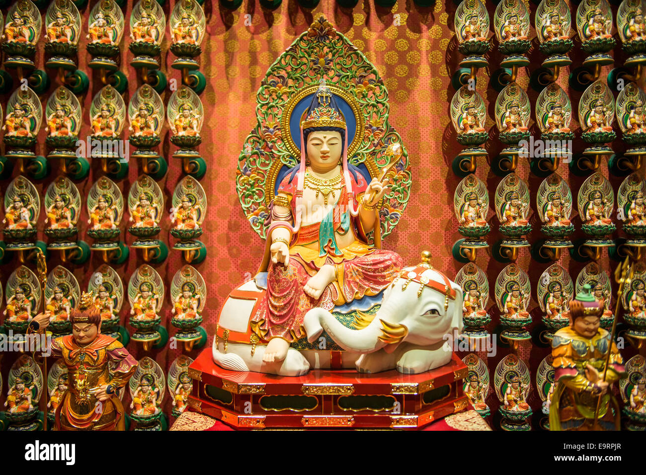 Structure of tooth hi-res stock photography and images - Alamy