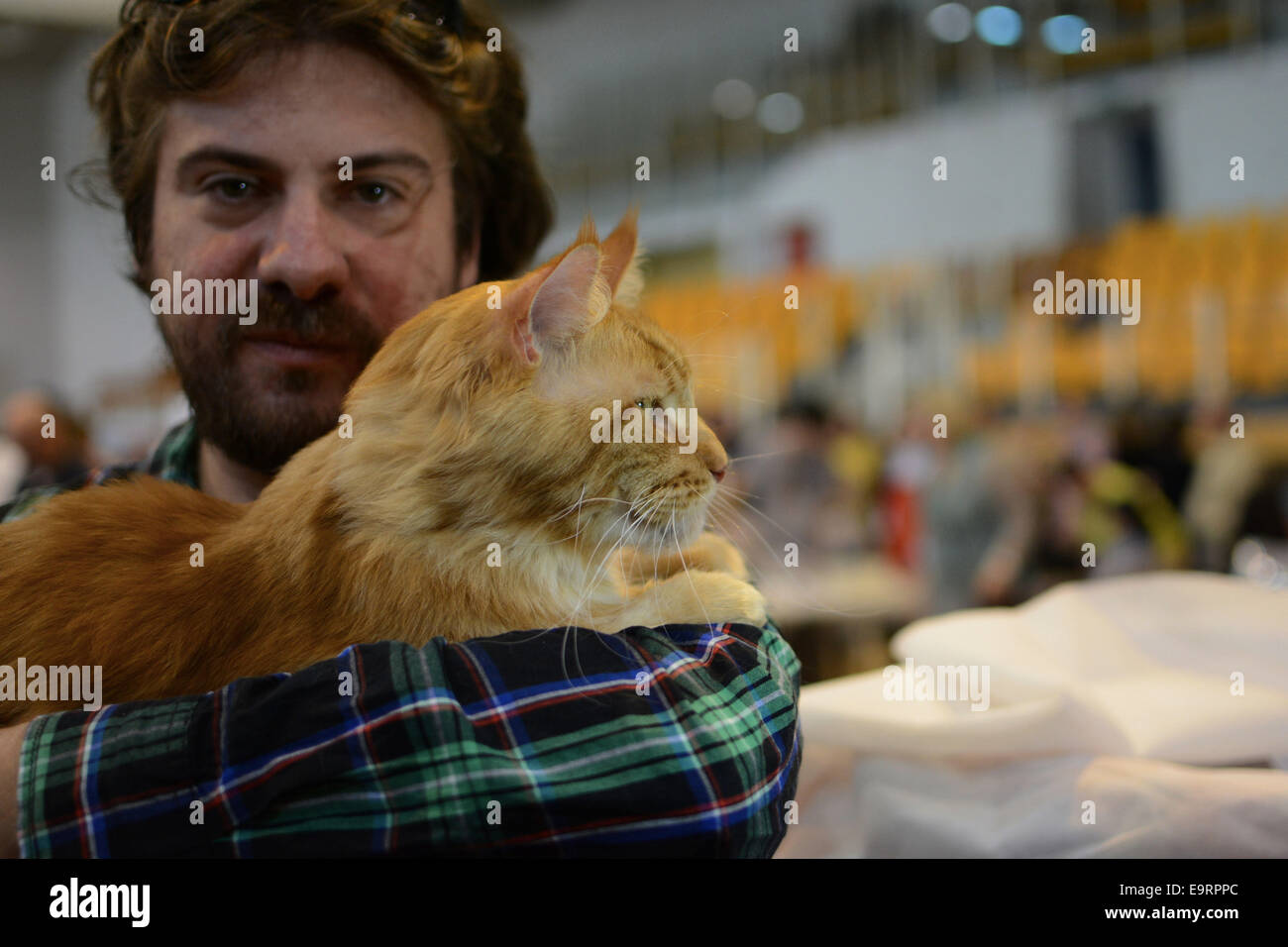 Israel . 1st November, 2014. The International Cat Show opened in ...