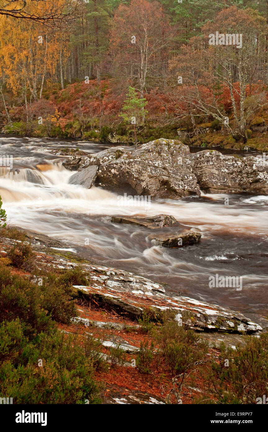 River Blackwater in Spate after heavy Autumn rains Stock Photo - Alamy