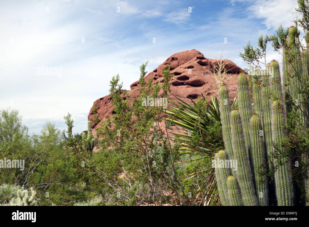 Harsh weather conditions hi-res stock photography and images - Alamy