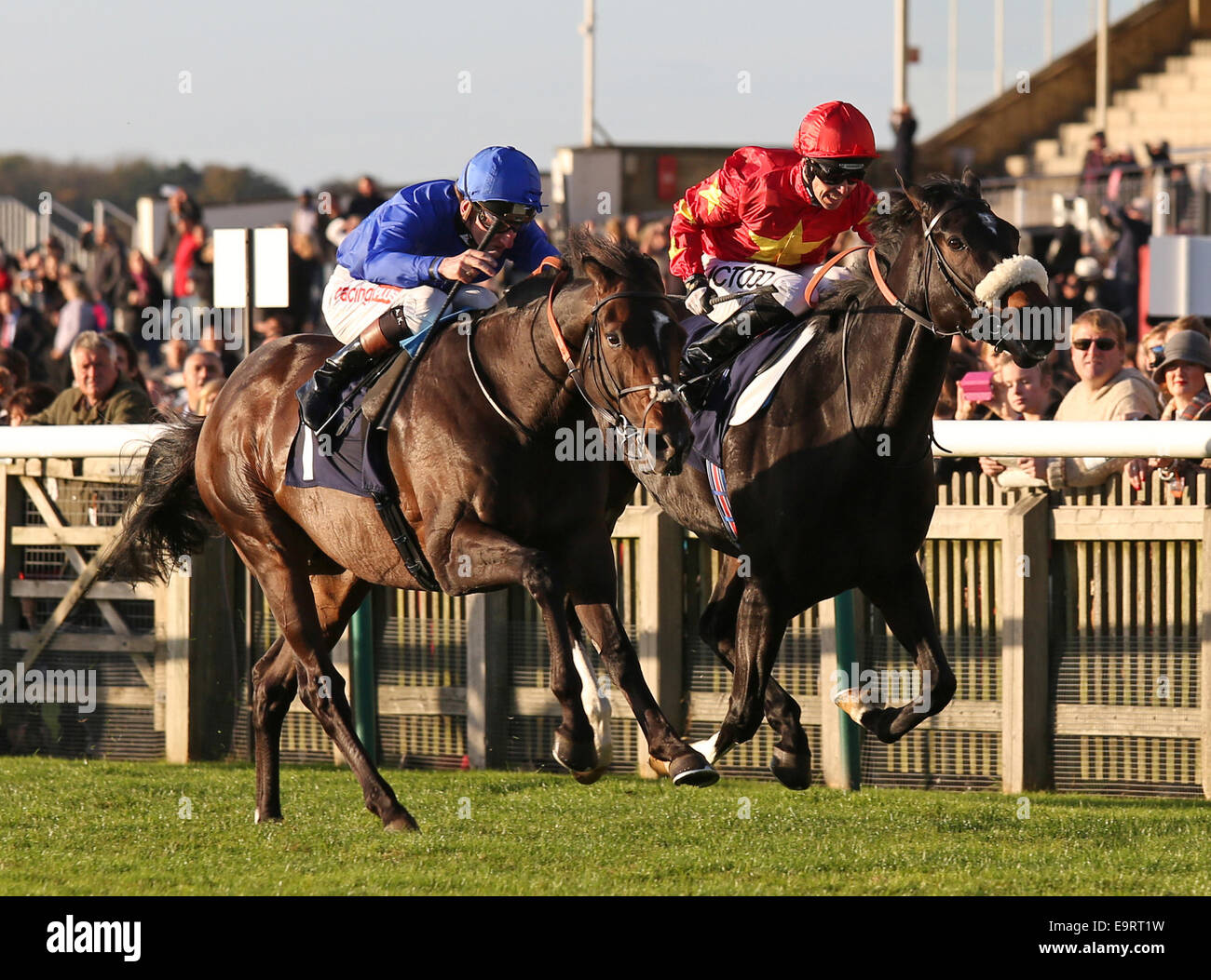 Newmarket, UK. 01st Nov, 2014. Newmarket The Final Meeting. French Navy ...