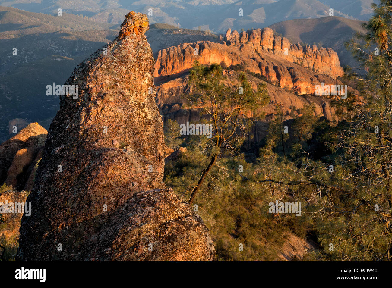 Pinnacles national park trees hi-res stock photography and images - Alamy