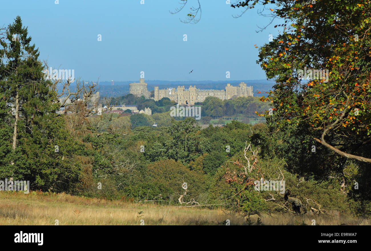 Windsor castle taken from windsor great park hi-res stock photography ...